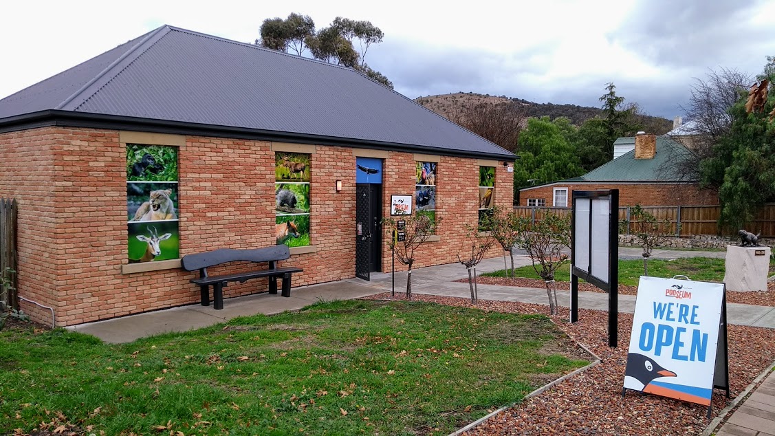 In cacca veritas: il Pooseum, il Museo della Cacca! - Lucy the Wombat